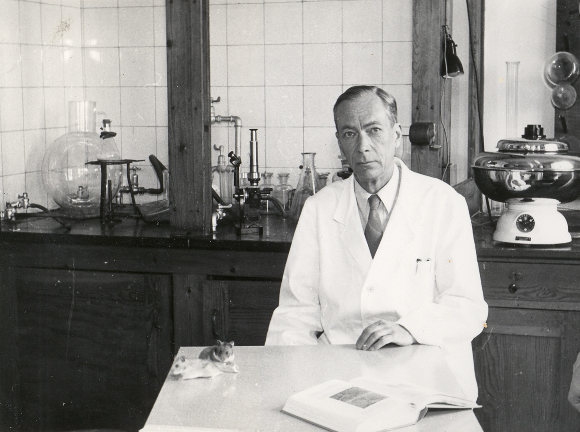 Henrik Dams Allé